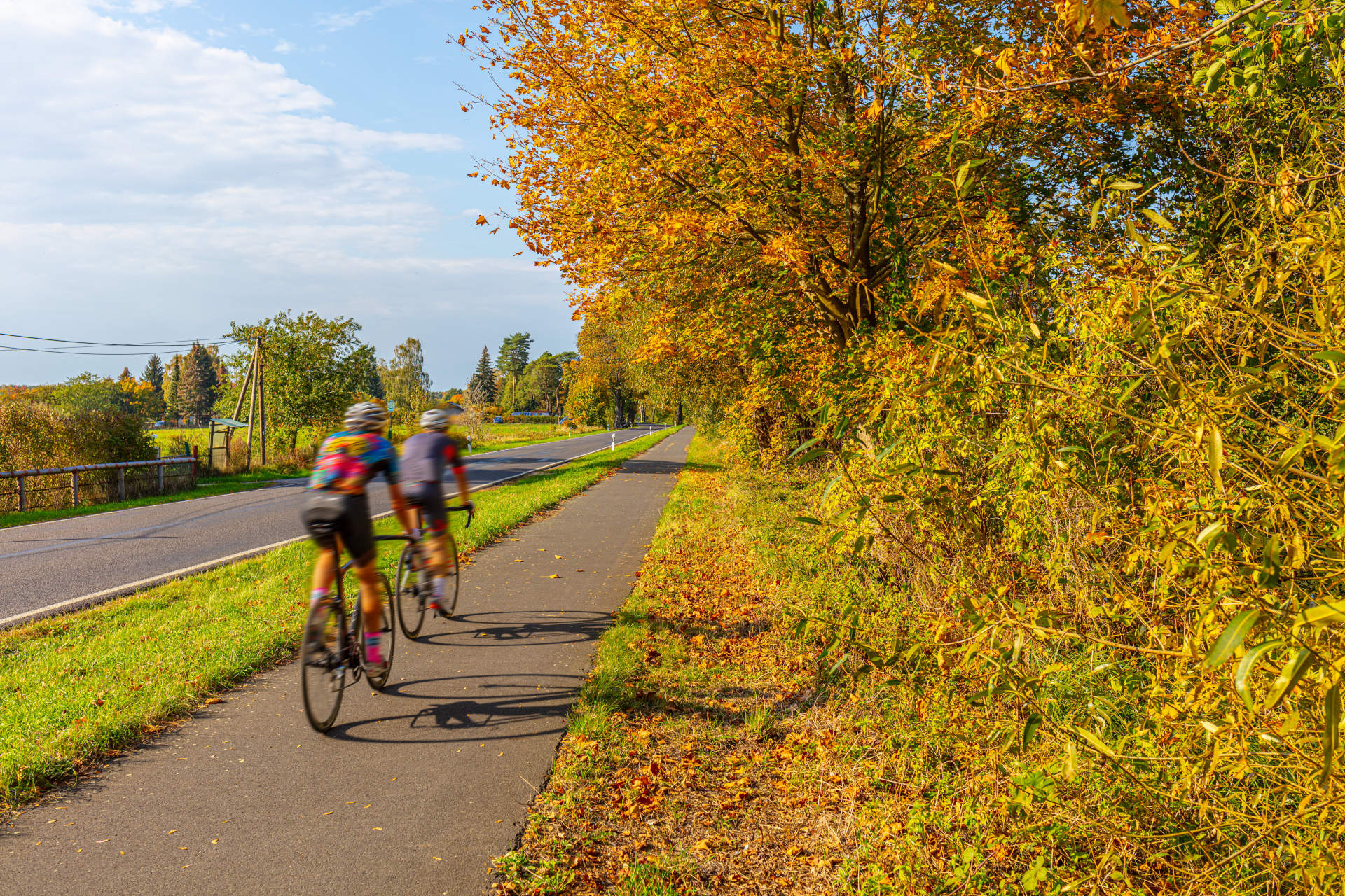 Das sind die 10 besten Radwege Deutschlands Das sind die 10 besten Radwege Deutschlands