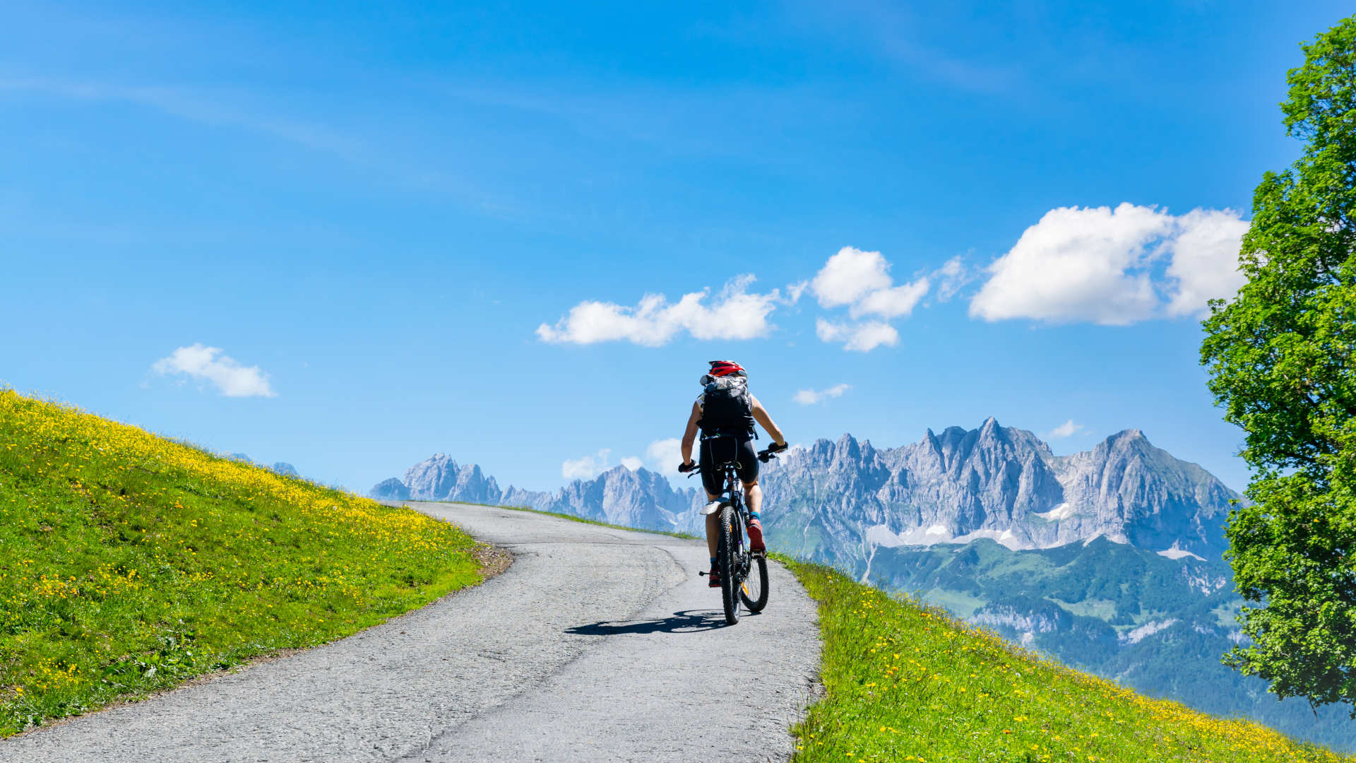 Die Kitzbüheler Alpen: Die schönsten Touren