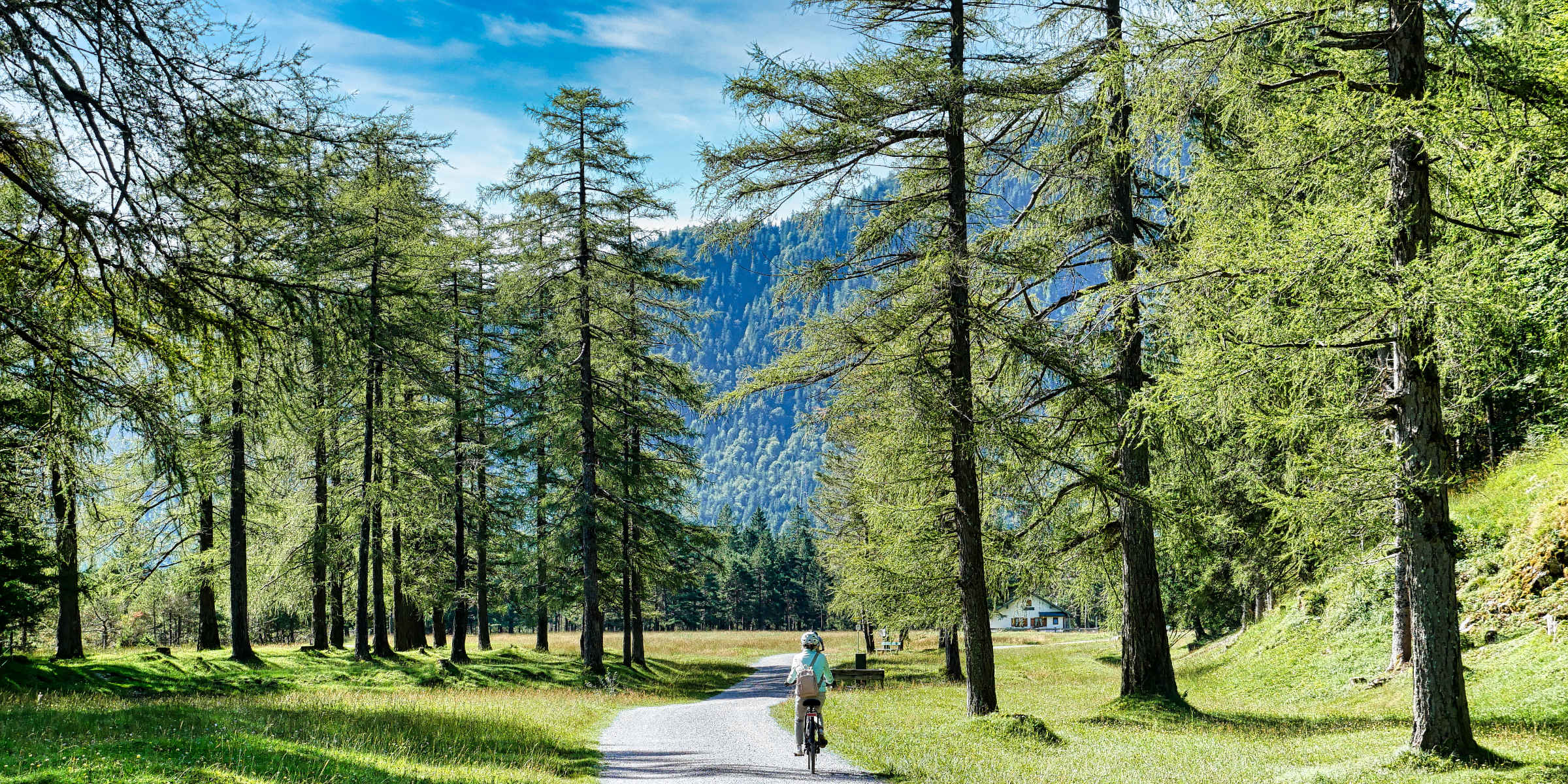 Radwege Bayern – Die 10 schönsten Routen durch Bayerns Natur