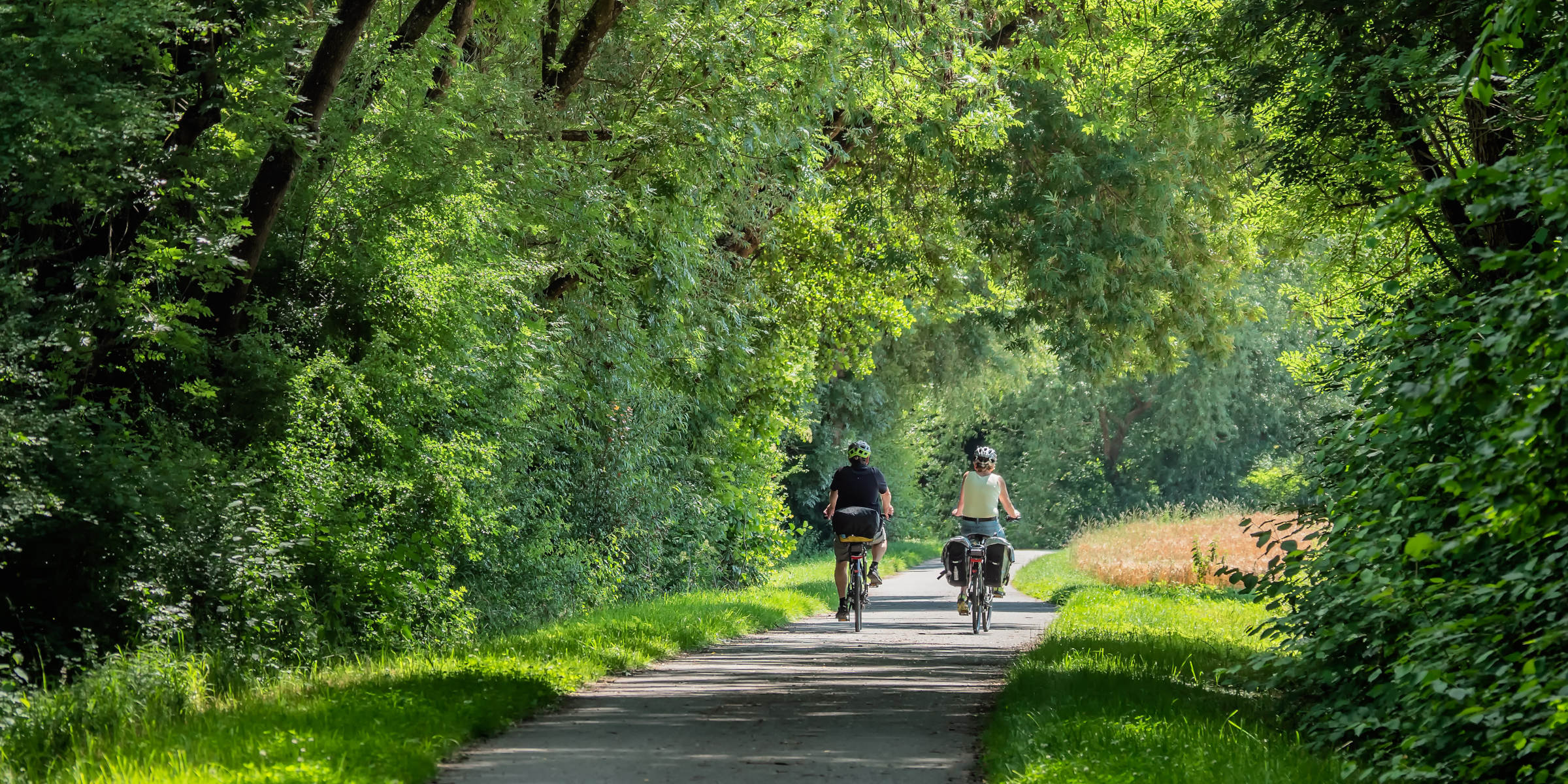 Entdecke den MainRadweg: Radtour entlang der schönsten Flüsse